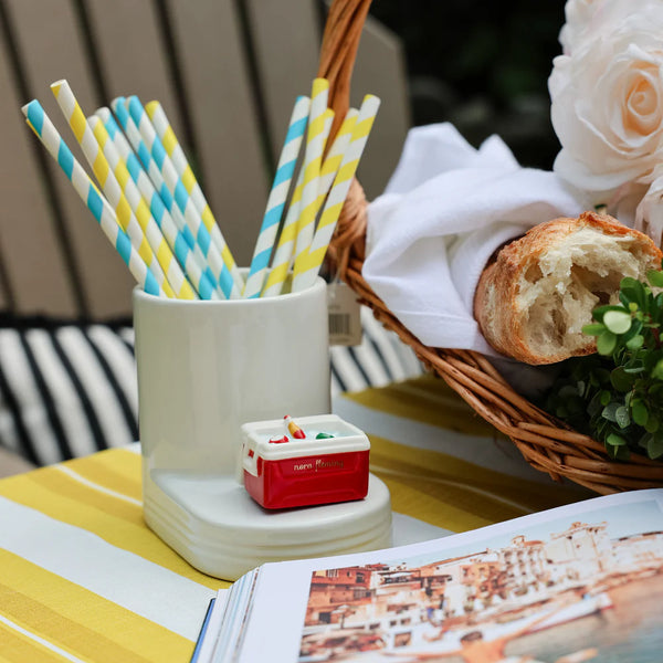 ICE COLD MINI | Molly's! A Chic and Unique Boutique